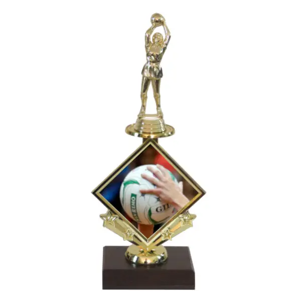 Buy Netball Star Insert Trophy | $39.95 | Award Engravers