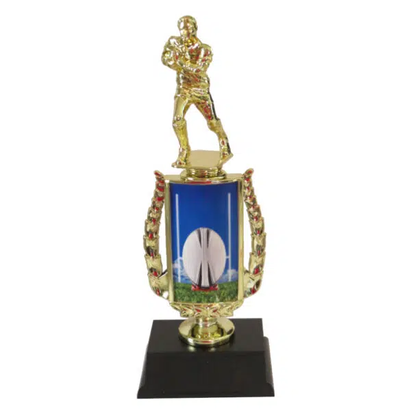Buy Rugby Sports Insert Trophy | $39.95 | Award Engravers