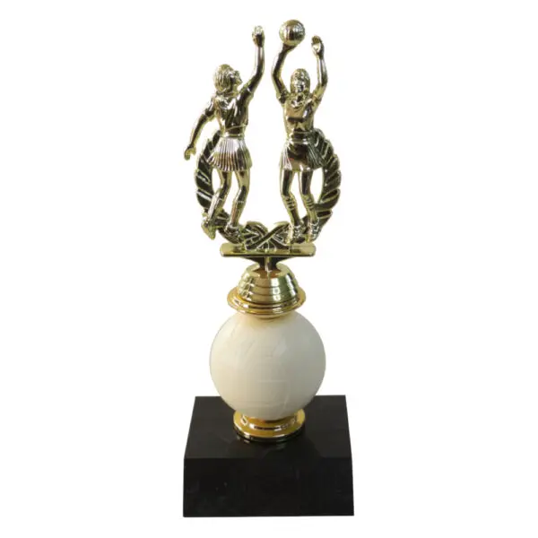 Buy Spinning Netball Figurine Trophy | $36.95 | Award Engravers