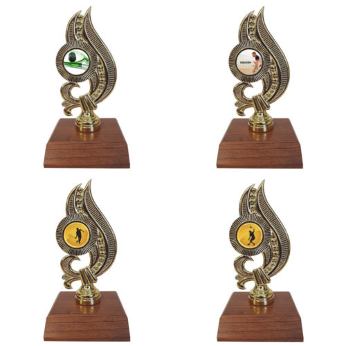 Buy Flameback Squash Trophy | $24.95 | Award Engravers