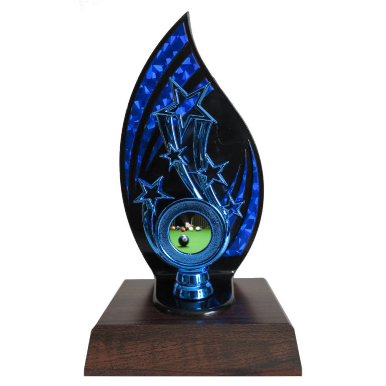 Solid Wood Billiards Trophy: A Unique Repurposed Award