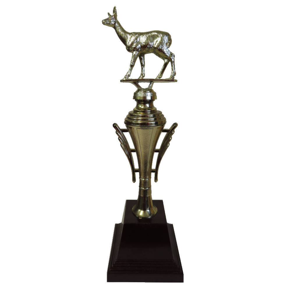 Buy Stag Trophy | $39.95 | Award Engravers