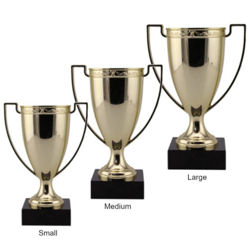 Miniature Trophy Cups | Award Engravers | NZ