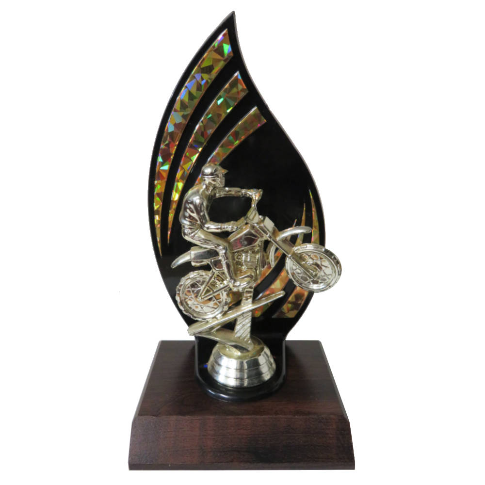Buy Flameback Motocross Trophy | $28.95 | Award Engravers