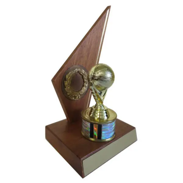Buy Solid Wood Basketball Trophy | $26.95 | Award Engravers