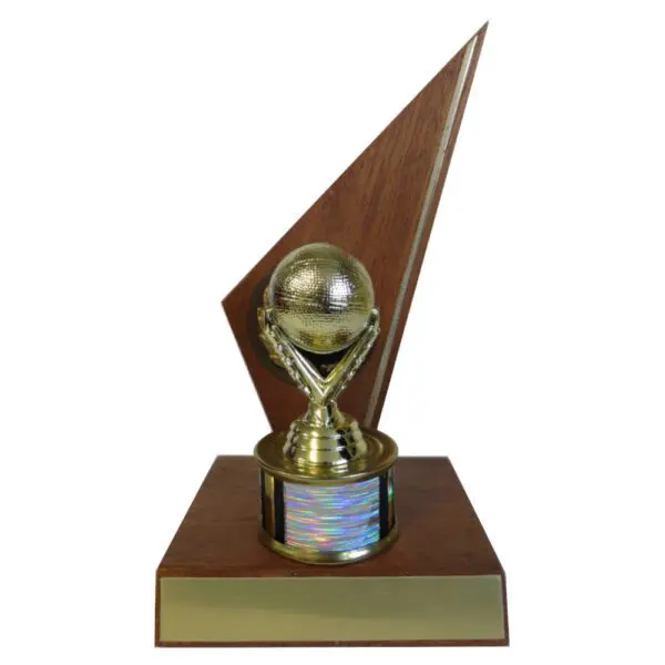 Buy Solid Wood Basketball Trophy | $26.95 | Award Engravers