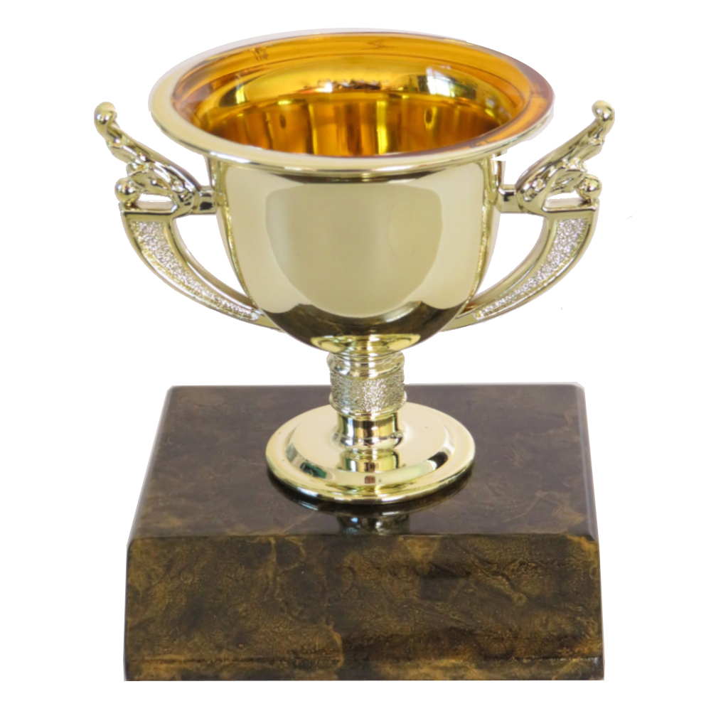 Buy Carlin Trophy Cup | $18.95 | Award Engravers