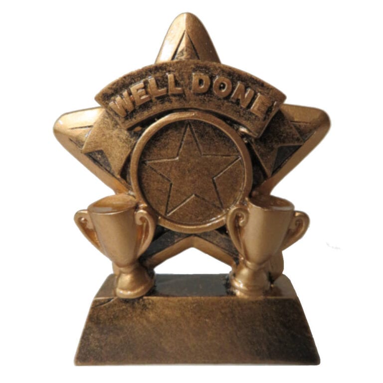 Buy Well Done Star Award | $18.95 | Award Engravers