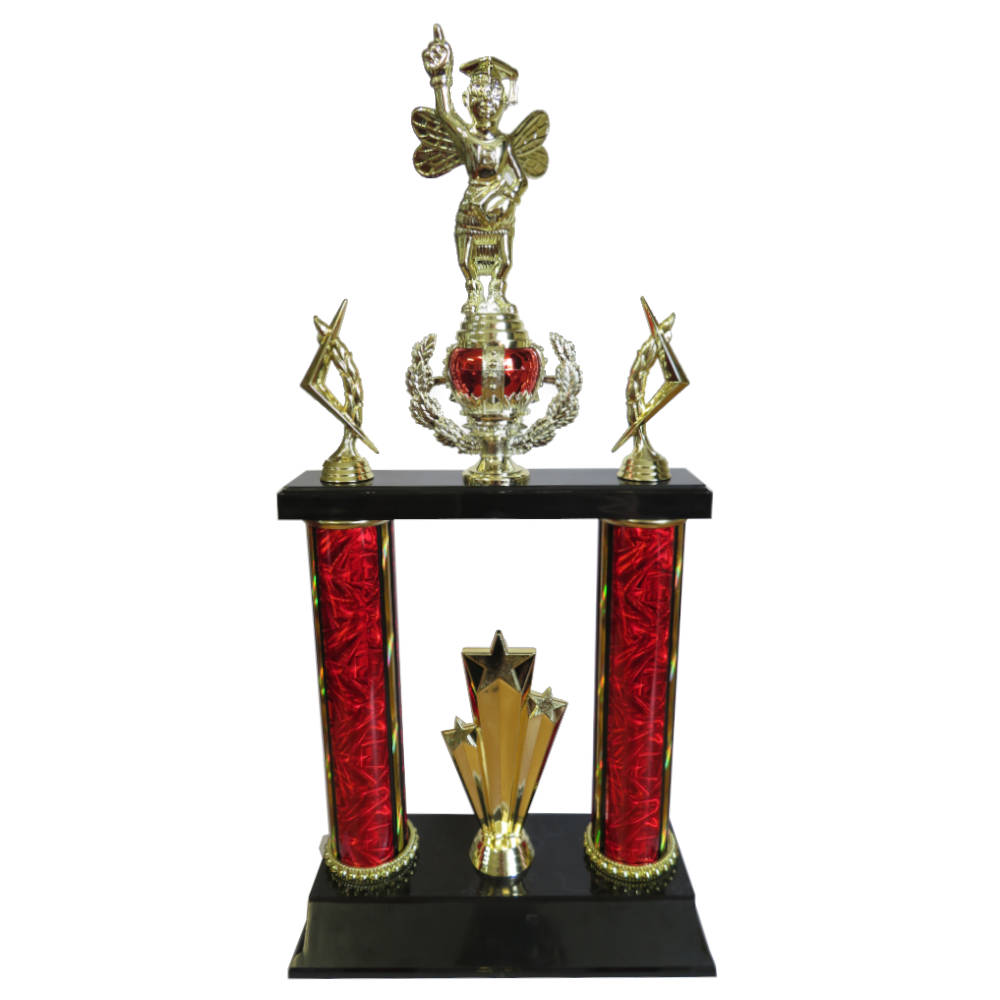 Buy Spelling Bee Champion Award | $94.95 | Award Engravers