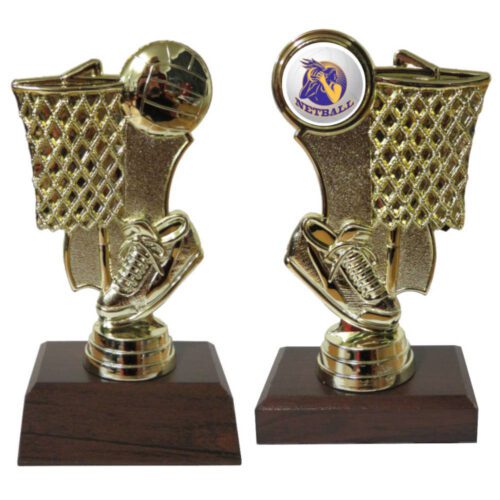 Buy Netball Star Insert Trophy | $39.95 | Award Engravers
