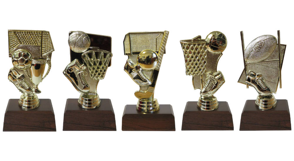 Goal Trophies | Award Engravers | NZ