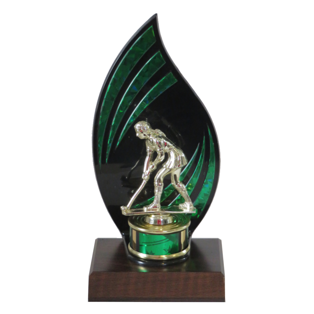Buy Flameback Hockey Trophy | $28.95 | Award Engravers